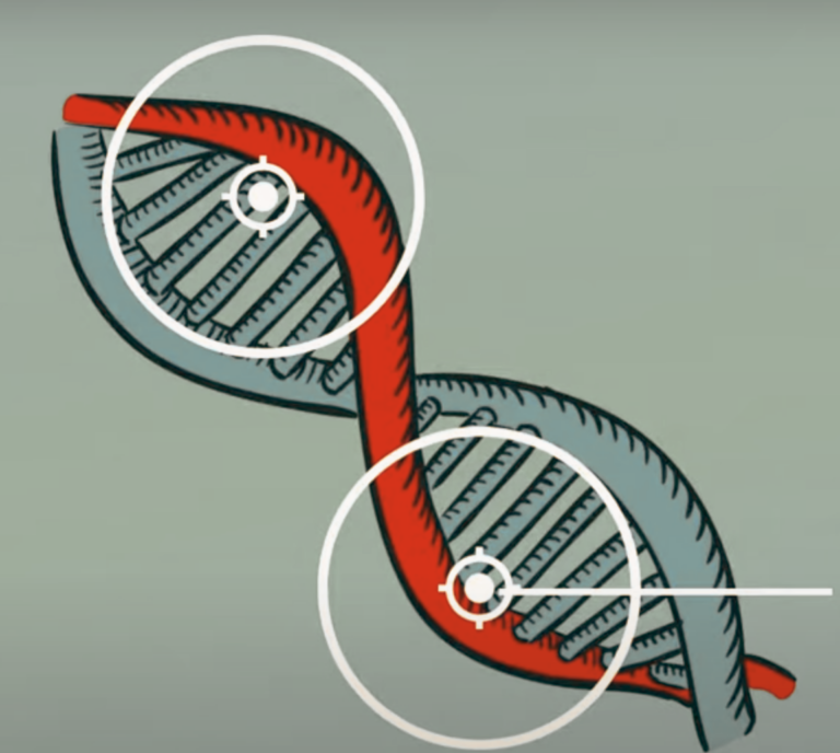 Microarray vs Whole-Exome Sequencing (WES): Which Genetic Test is Right ...