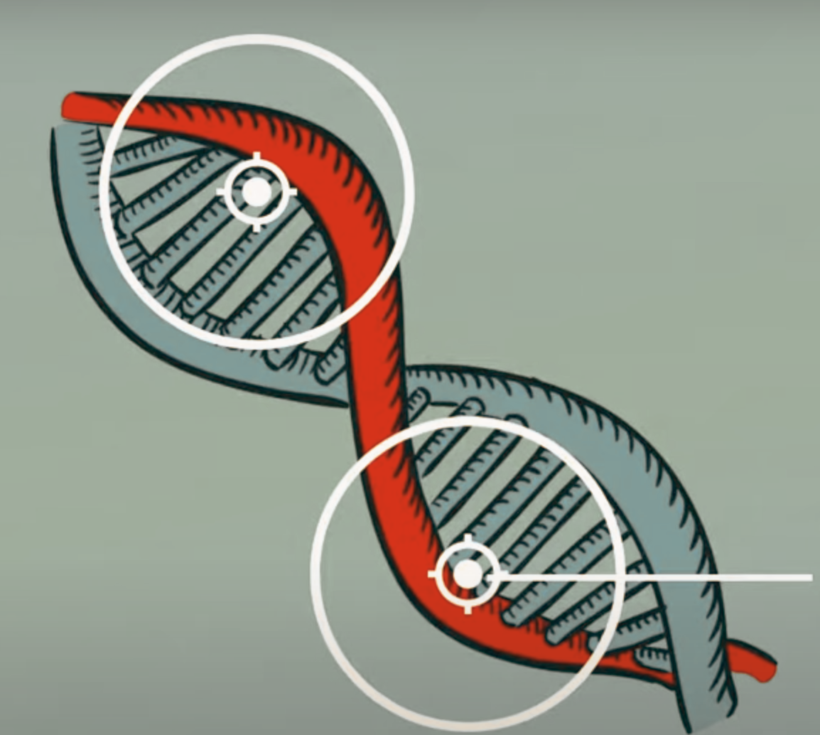 Microarray vs Whole-Exome Sequencing (WES): Which Genetic Test is Right ...